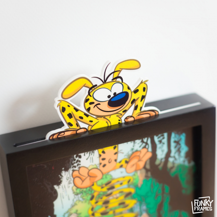 Collectible comics frames Funky Frames