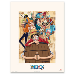 Figuras de manga One Piece y objetos exclusivos.