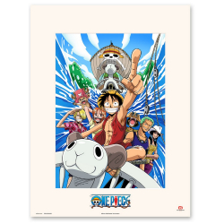 Figuras de manga One Piece y objetos exclusivos.