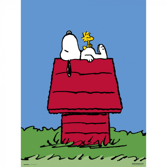 Pósters y carteles de cómics