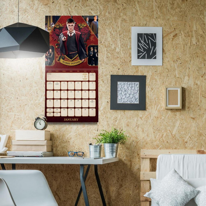 Harry Potter figurines and exclusive items