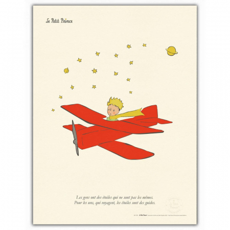Poster impreso Art Print Oneart (El Principito en avión)
