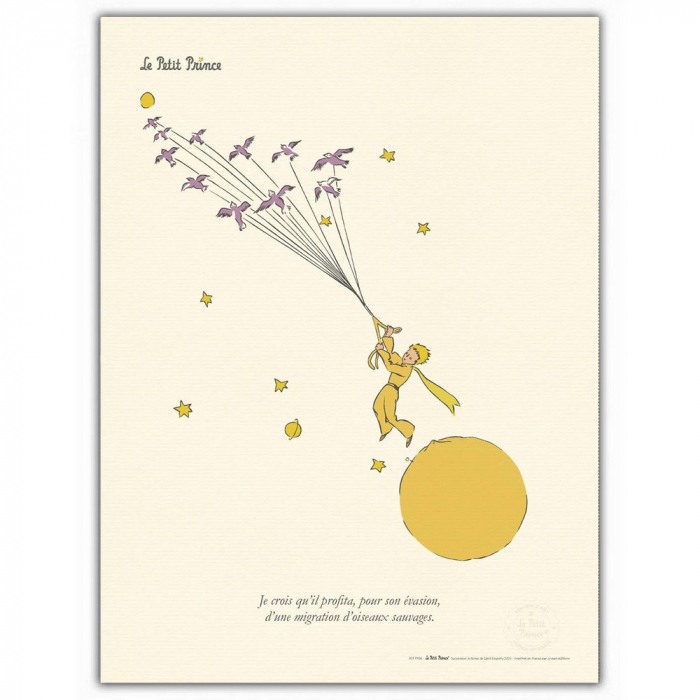 Poster affiche d'art Oneart (Le Petit Prince avec les oiseaux)