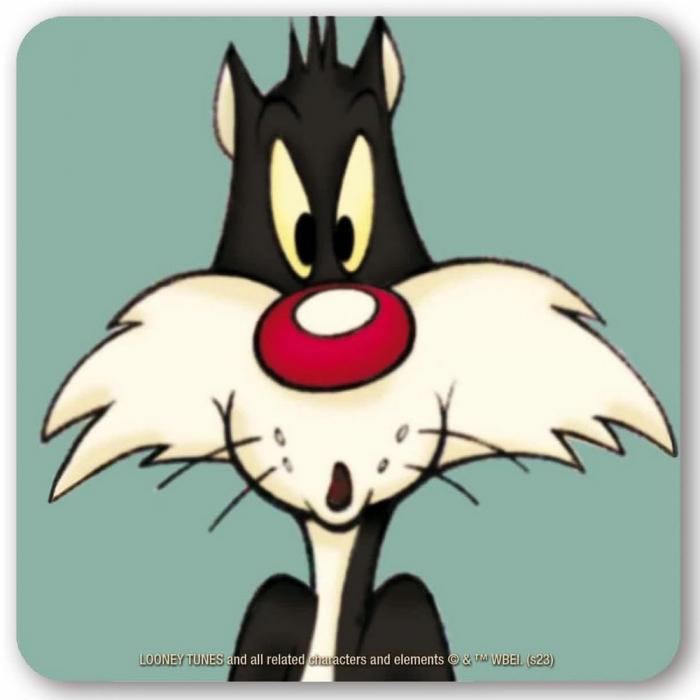 Looney Tunes collectibles figures