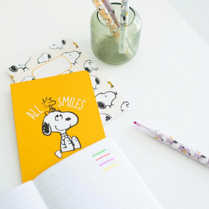 Stationery Set Erik Peanuts (Snoopy)