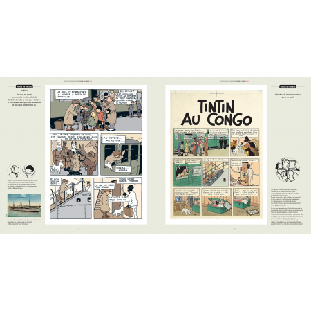 Philippe Goddin Les coulisses d'une œuvre - Tintin au Congo (T2)